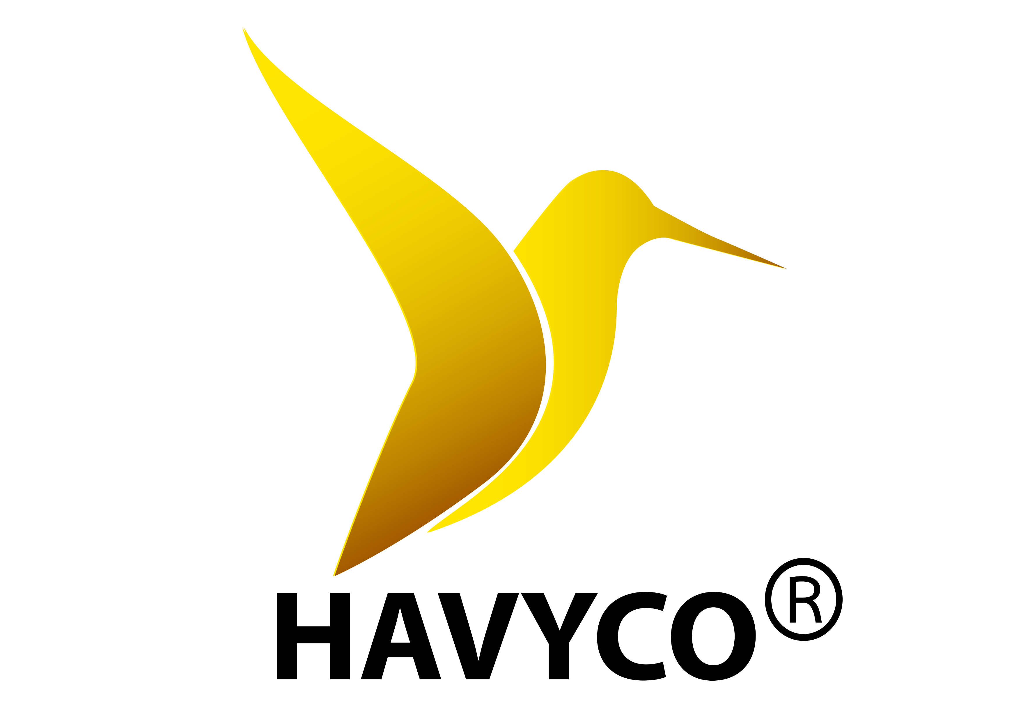 HAVYCO GROUP - TOPCV