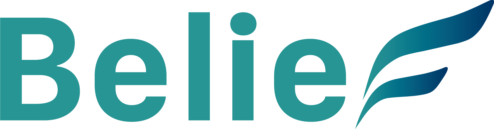 Công ty Cổ phần Belie