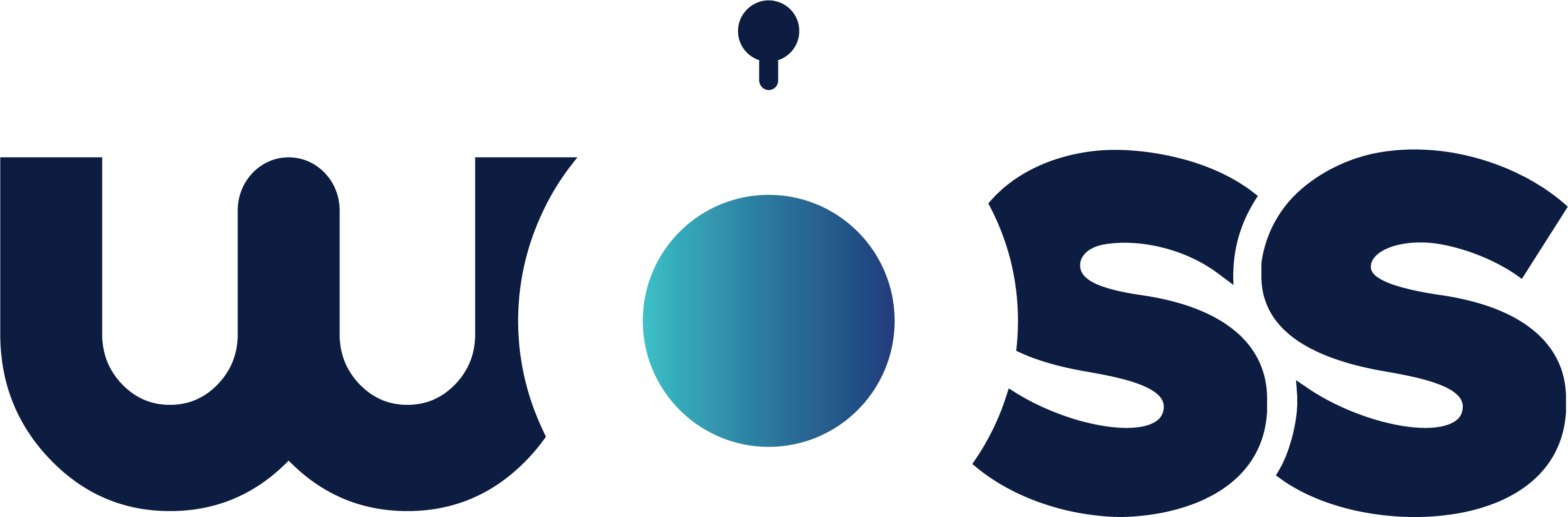 CÔNG TY CỔ PHẦN WOSS