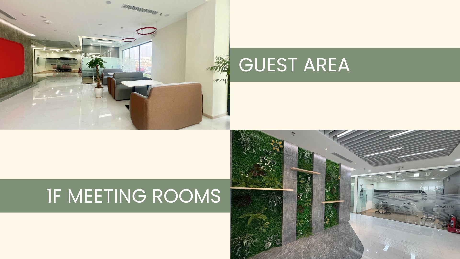 Tuyển Process Engineer làm việc tại CÔNG TY TNHH MOLEX VIỆT NAM